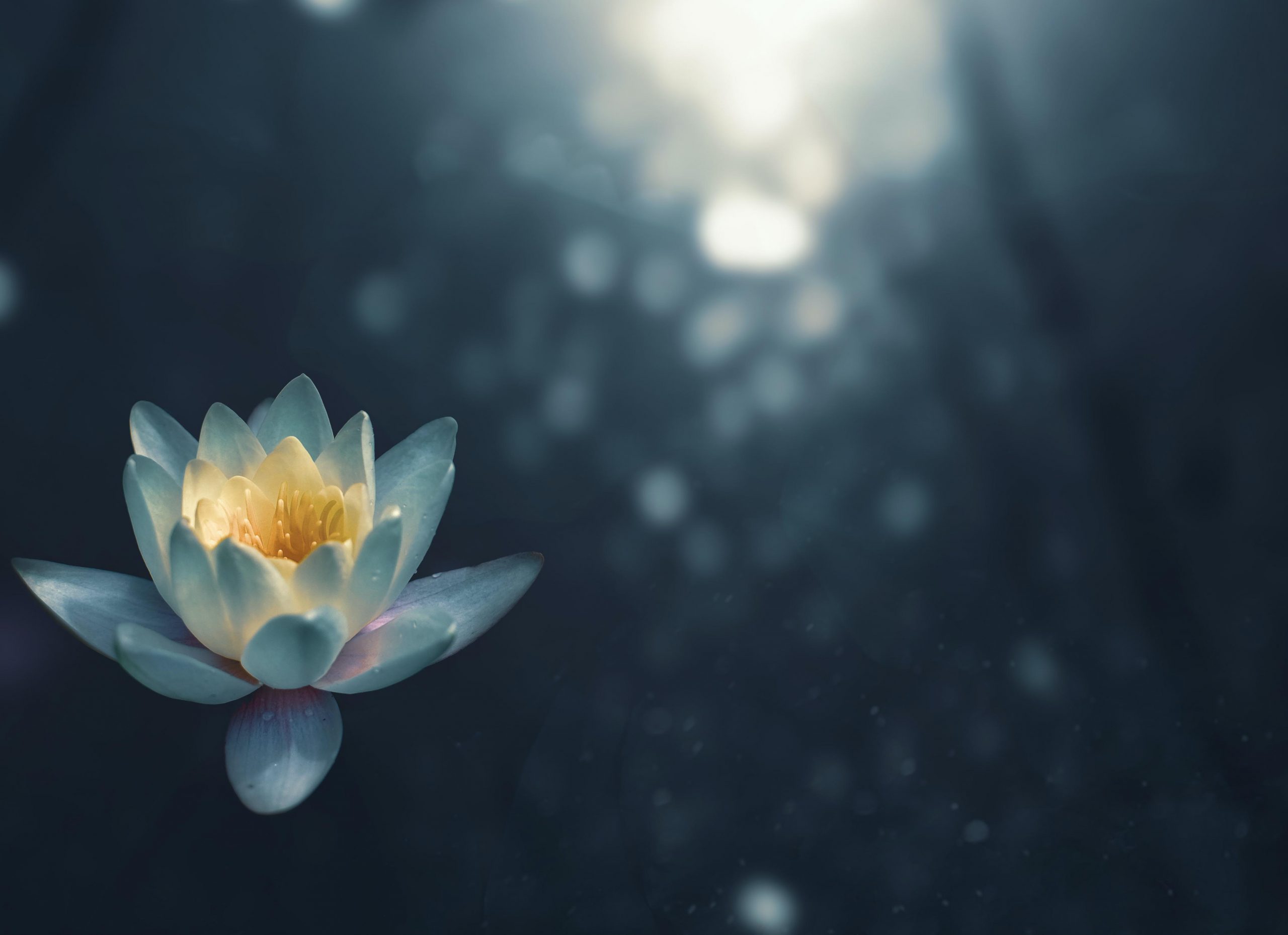 Laboratoire NOTAKA - Nous prenons soin de vous